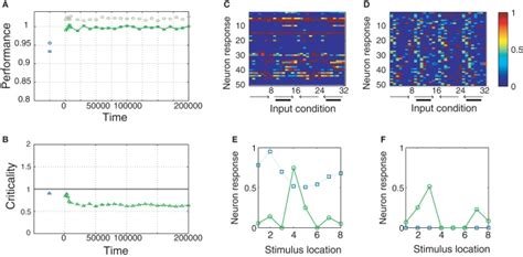 Performance Of The Sorn And A Random Reservoir On The Occluder” Task