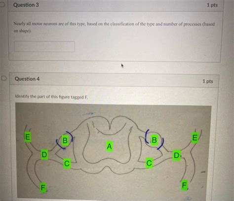 Solved Identify The Part Of This Figure Tagged A Identify Chegg