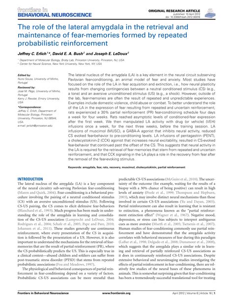 Pdf The Role Of The Lateral Amygdala In The Retrieval And Maintenance Of Fear Memories Formed