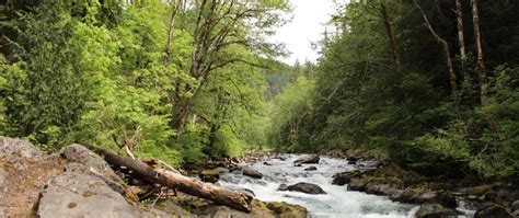 Abbey Perini Dev Community Abbey Perini Dev Community