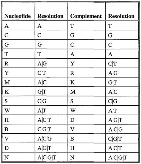 Brevetto Wo2002032956a2 Human Cyclic Nucleotide Binding Protein