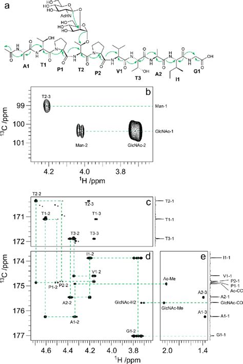A Structure Of The Disaccharide−decapeptide Reported By S ̌ Ardzí K