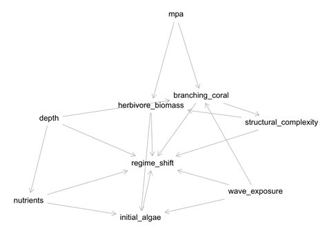 Directed Acyclic Graphs In R With Dagitty And Ggdag