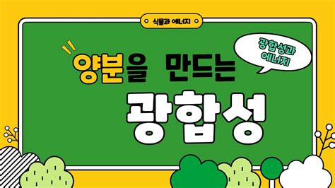 중2 과학 식물과 에너지 광합성 양분을 만드는 광합성 Youtube