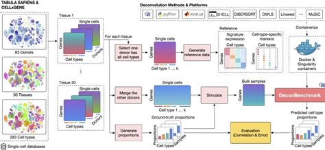 Fourteen Years Of Cellular Deconvolution Methodology Applications