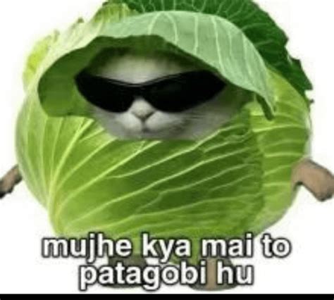 Is Dtu Engineering Physics Branch Good For Phd And Good Lpa Rbtechtards