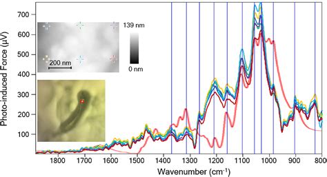 Analyzing Forensic Trace Evidence With Ir Pifm Molecular Vista