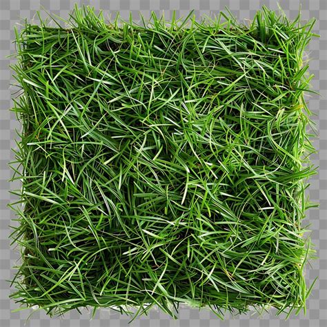 Page 3 Landscape Grass Texture Psd 9000 High Quality Free Psd