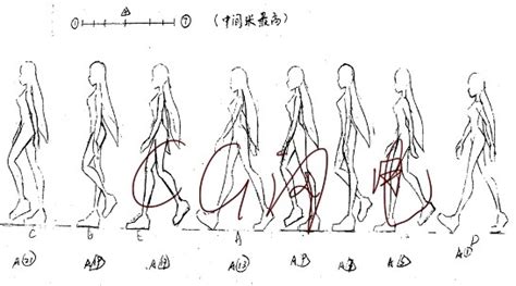 【图片】【教程贴】动画基础 人物走路的运动规律【flash教程吧】百度贴吧