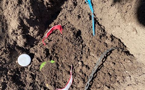 Contaminated Compost Sustainable Macleod