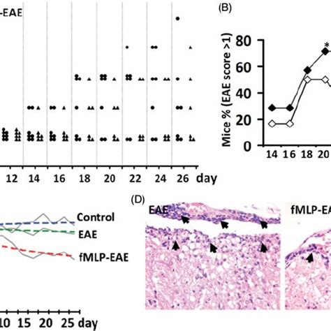 Clinical And Histopathological Evaluation Of Eae A Disease Scores Download Scientific