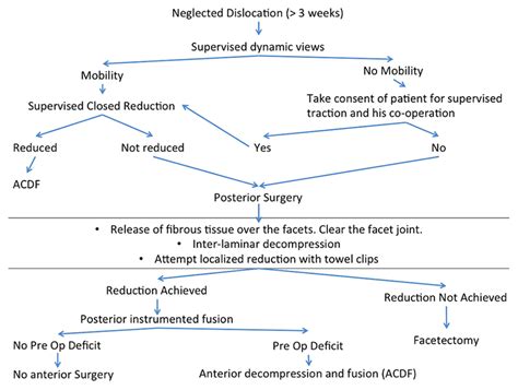 Suggested Protocol For Management Of Neglected Dislocation In The