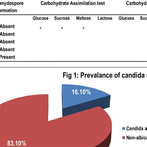 Candida Spp Identification By Chlamydospore Formation Carbohydrate Download Scientific Diagram