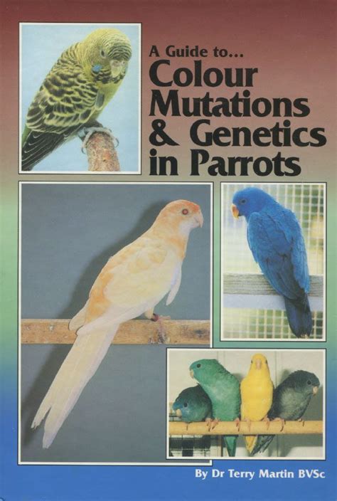 Parakeet Color Mutations