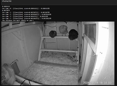 Classificationmodel Machinelearning Aitraining Backyardtech
