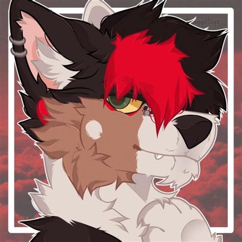 Maned Wolf Fanclub On Tumblr