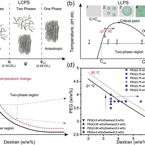 The Phase Behavior Of Cnc Peg Dextran Heterogeneous Colloids A