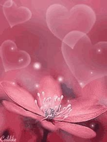 Pink Hearts S Tenor