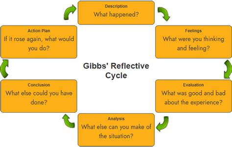 Who Do You Think You Are Reflection For Employability University Of