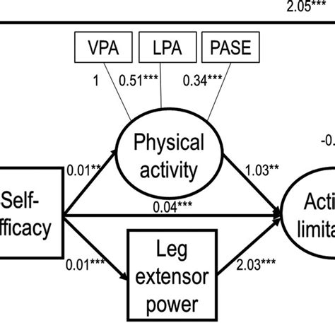 A The Final Model For Performance‐based Activity Limitations B The