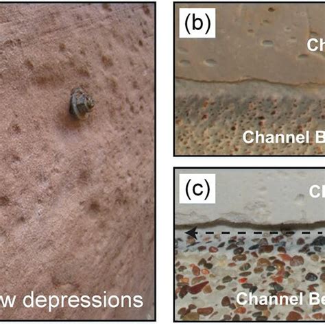 Giovanni Coco Associate Professor Phd University Of Auckland Auckland Research Profile