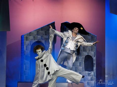 Cuibul De Clovni Teatrul De Animatie Tandarica