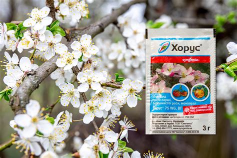 Хорус інструкція, ціна в Агрохім