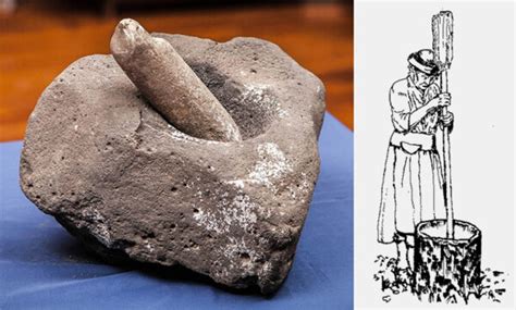 Pharmaceutical Emulsion Deepen Your Knowledge Aipak