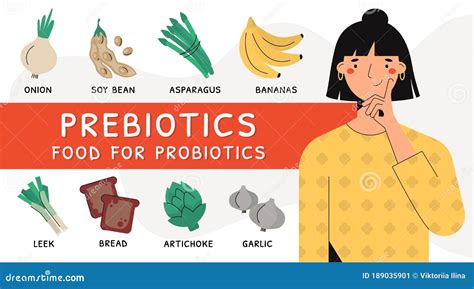 Prebiotics Of Bean Info Graphic Chart Vector Illustration