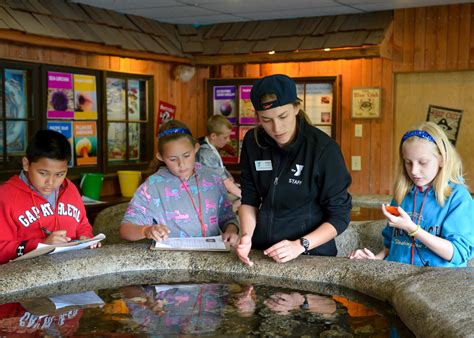 Careers Ymca Outdoor Camp Services