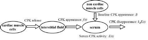 Schematic Flow Of Cpk Transfer Download Scientific Diagram