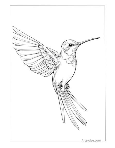 Hummingbird Trace Cute Hummingbird Drawing Hummingbird Line Drawing