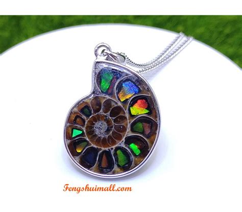 Ammolite In Ammonite Shell Pendant B