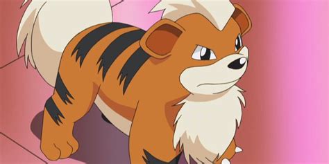 Pokémon How To Evolve Growlithe And 14 Other Things You Didnt Know