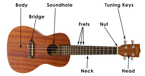 Ukulele Frets Labeled