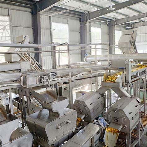 Avocado Processing Line Jiangsu Lazen Machinery Technology Co Ltd