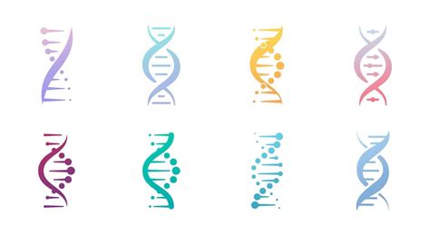 Dna Gradient Icon Set 52913091 Vector Art At Vecteezy
