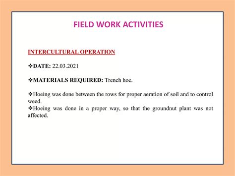 Seed Production In Groundnut Ppt Pptx