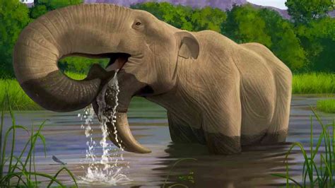 Platybelodon And Deinotherium The Extinct Elephants That Defy Modern