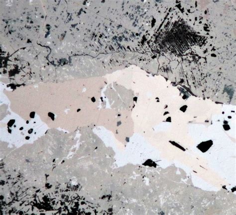 Optical Microscope Om Or Scanning Electron Microscope Sem