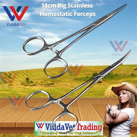 18 Cm Stainless Hemostatic Forceps Curved Veterinary Animal 75 Fish