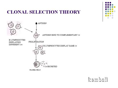 4 Clonal Theory Pdf