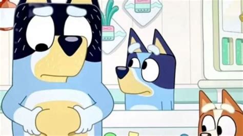 Bluey Exercise Scene Removed After Creators Face Backlash Au — Australias Leading