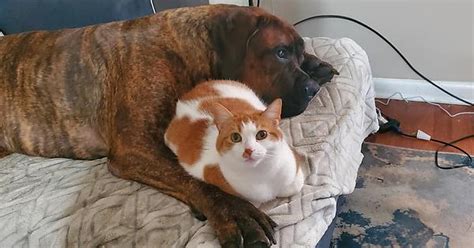 Mental Health Day Album On Imgur