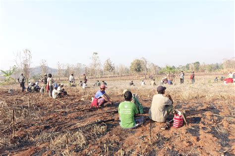 ကယားပြည်နယ် ဒေါကလိုးခူကျေးရွာက ရိုးရာတောလိုက်ပွဲ ဓာတ်ပုံ