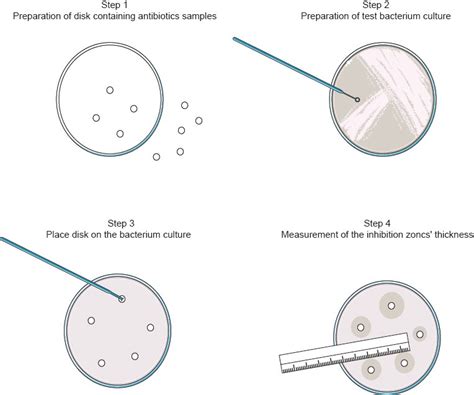 Antimicrobial Susceptibility Testing Creative Diagnostics