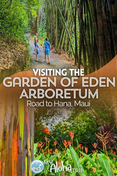 Mauis Garden Of Eden Arboretum On The Road To Hana