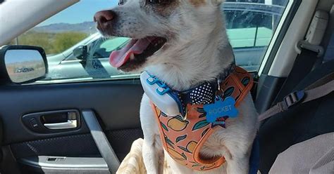 Rocket Album On Imgur