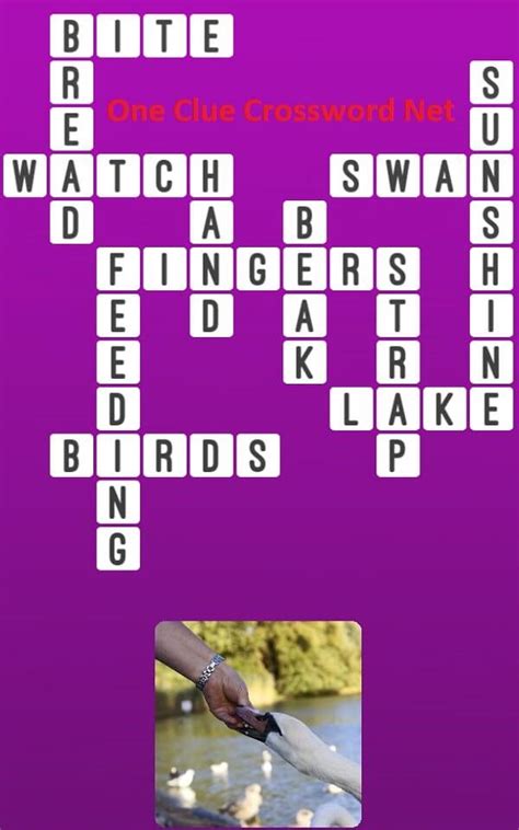 Swan Get Answers For One Clue Crossword Now