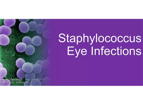 Staphylococcus Pdf